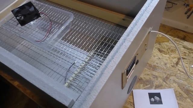 Инкубатор для Московских змей