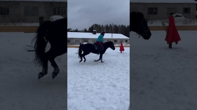 Ноча