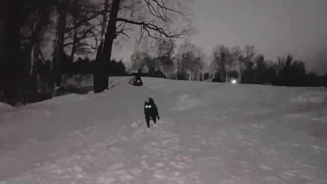 2025-01-08 Наш Сад - Питомцы и веселая горка - HD 1080p