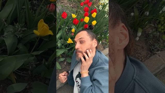 Моделирование или доминирование?