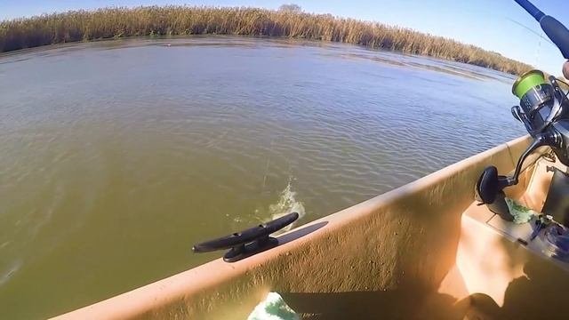 Обзор съедобной резины Sawamura OneUp Shad Slim