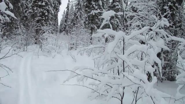 К барину про снегам 19.01.2020