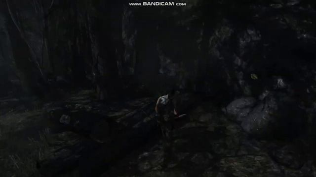 Tomb Raider#14