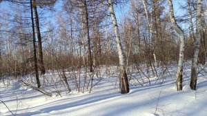 Проверка капканов часть 〽️ 10.