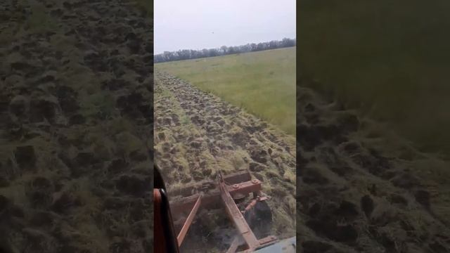 Дискование