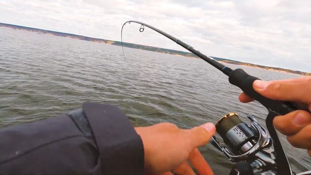Обзор силиконовой приманки Sakura Slit Shad