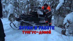 БОЛЬШОЙ КОМПАНИЕЙ В ЛЕС НА ПРОВЕРКУ ПУТИКОВ. УДАЧА НА НАШЕЙ СТОРОНЕ. ТУНГУС ПОЕДЕТ ДОМОЙ.