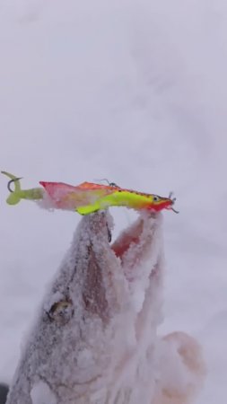 ЩУКА НА БАЛАНСИР 🎣