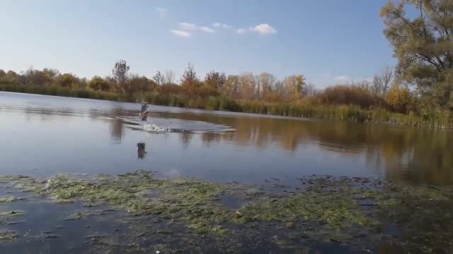 Слайдер косит щуку! Pike goes crazy with _jerk_!