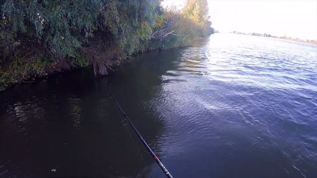 Обзор резины Reins Fat G-Tail Grub