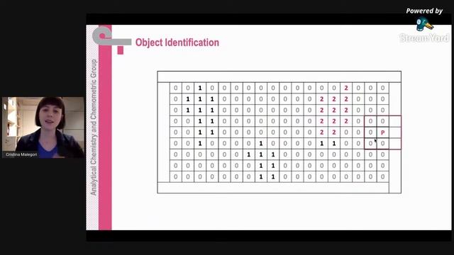 Hyperspectral Image Processing Best Strategies for Extracting the Info