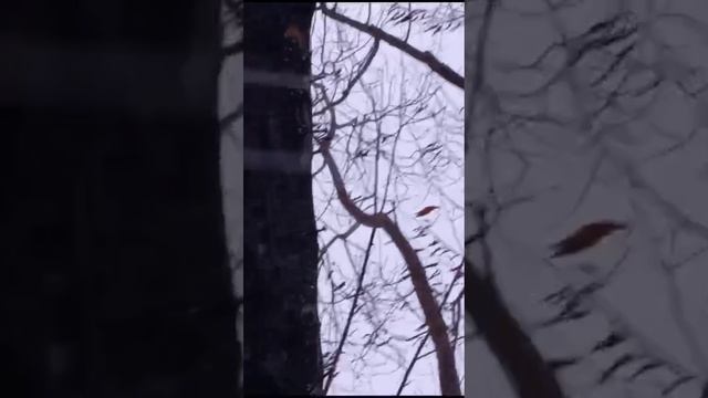 ВОТ ЧТО СЛУЧИЛОСЬ С НАШЕЙ БАЗОЙ 13.09.2024