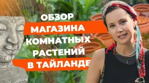 Магазин комнатных растений в Тайланде