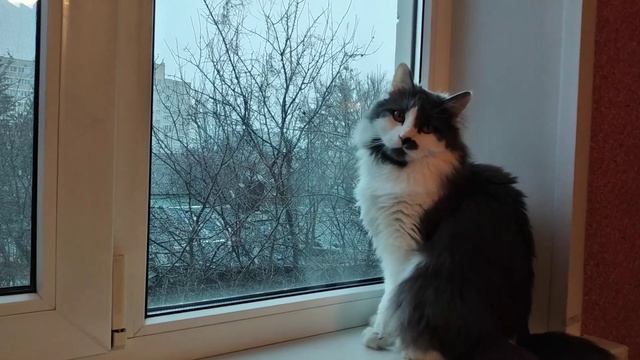 Первый снег!