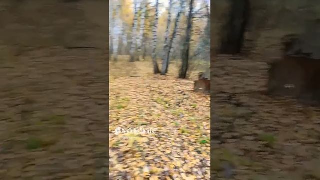 Что там_ Загадка продолжается. #заброшка #неизданное