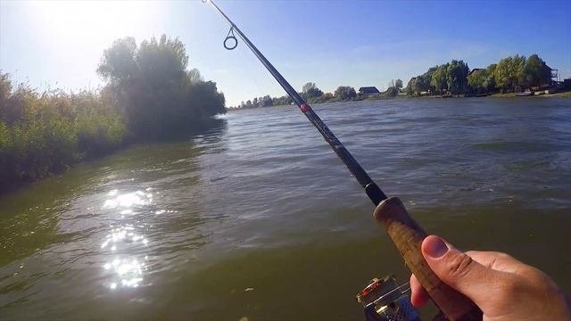 Обзор резины Kosadaka Slim