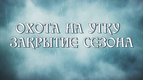 УТИНАЯ ОХОТА, ЖИЗНЬ В ДЕРЕВНЕ, ЗАКРЫТИЕ СЕЗОНА