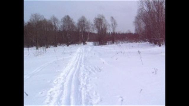 Прогулки на лыжах 26.02.2012