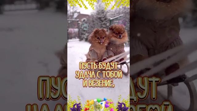 Хорошего дня и настроения