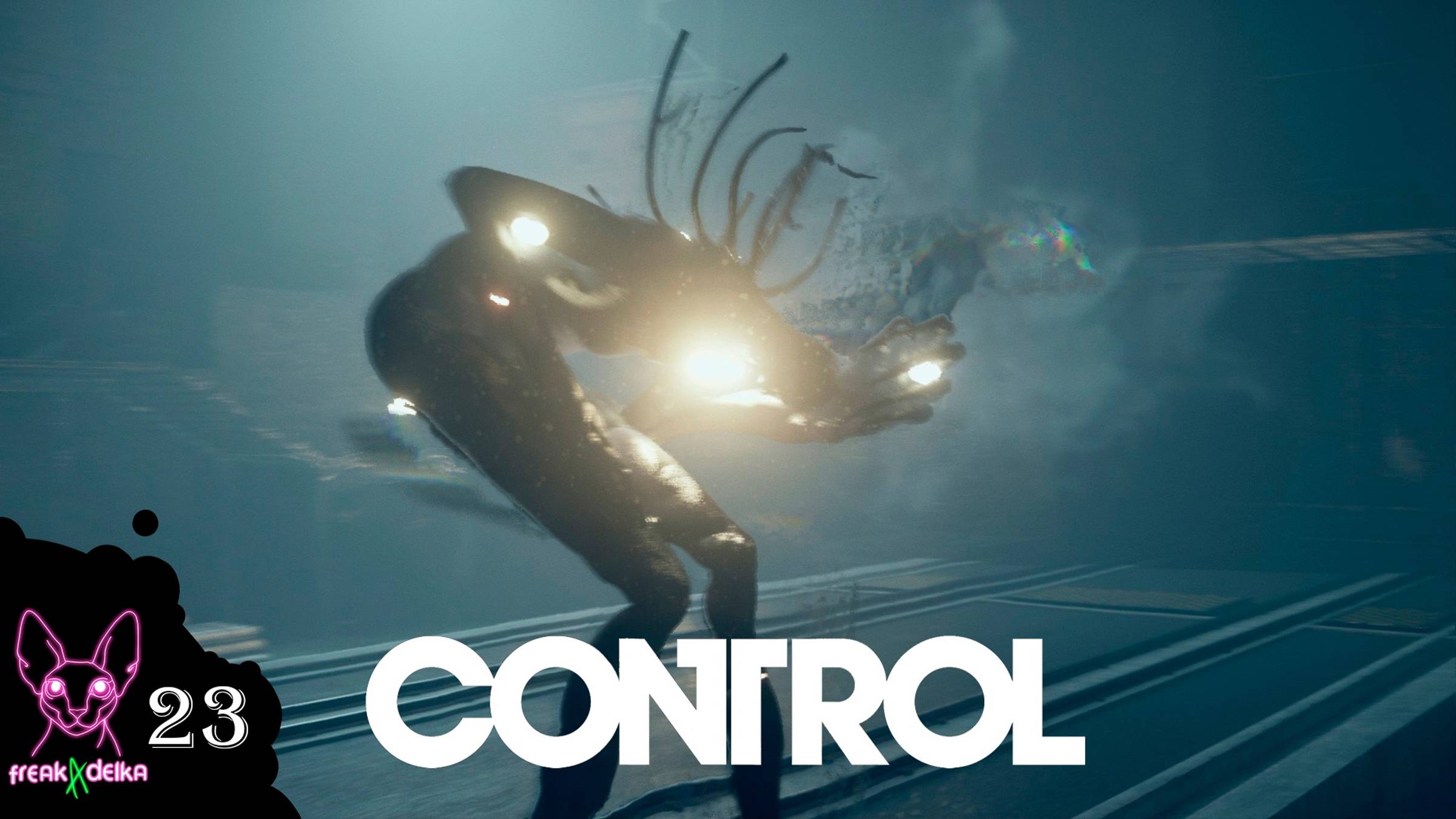 По следам Хартмана | Ню и Zetsu | Control  №23
