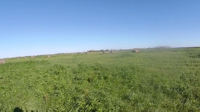 Ситниково деревня в Нижнеомском районе Омской области/Sitnikovo is a village in the Omsk region