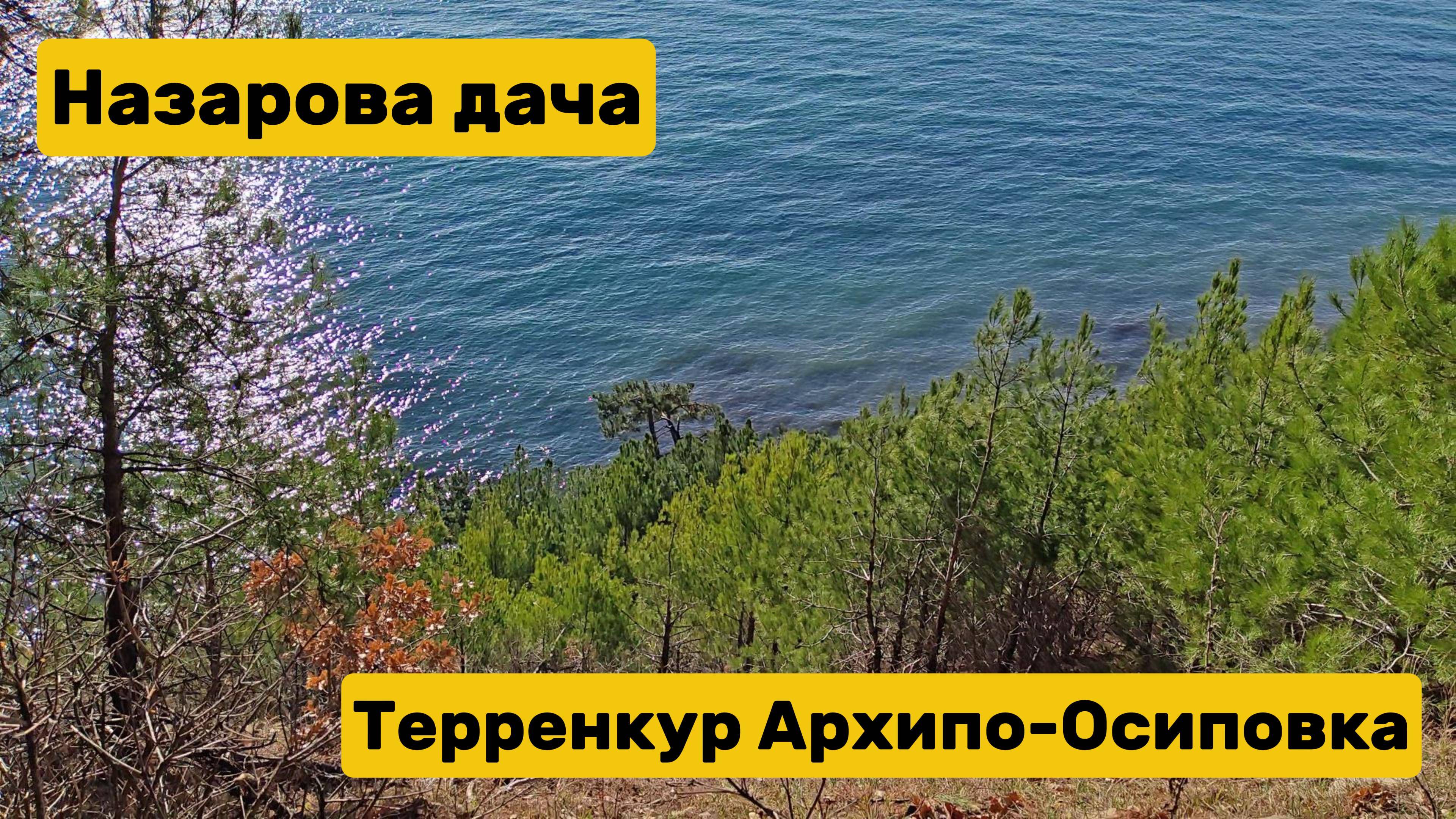 Терренкур и Назарова дача в Архипо-Осиповке. Прогулки с Утиными историями 11 января