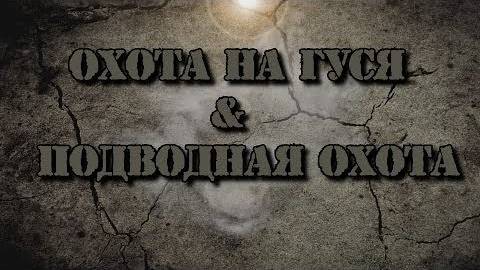 ОХОТА И РЫБАЛКА, УТИНАЯ ОХОТА, ОХОТА НА ГУСЯ, ПОДВОДНАЯ ОХОТА