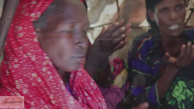 Тревожное сомалийское (Anxious Somalian)