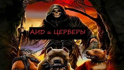 ОП 2.1  "АИД И ЦЕРБЕРЫ"