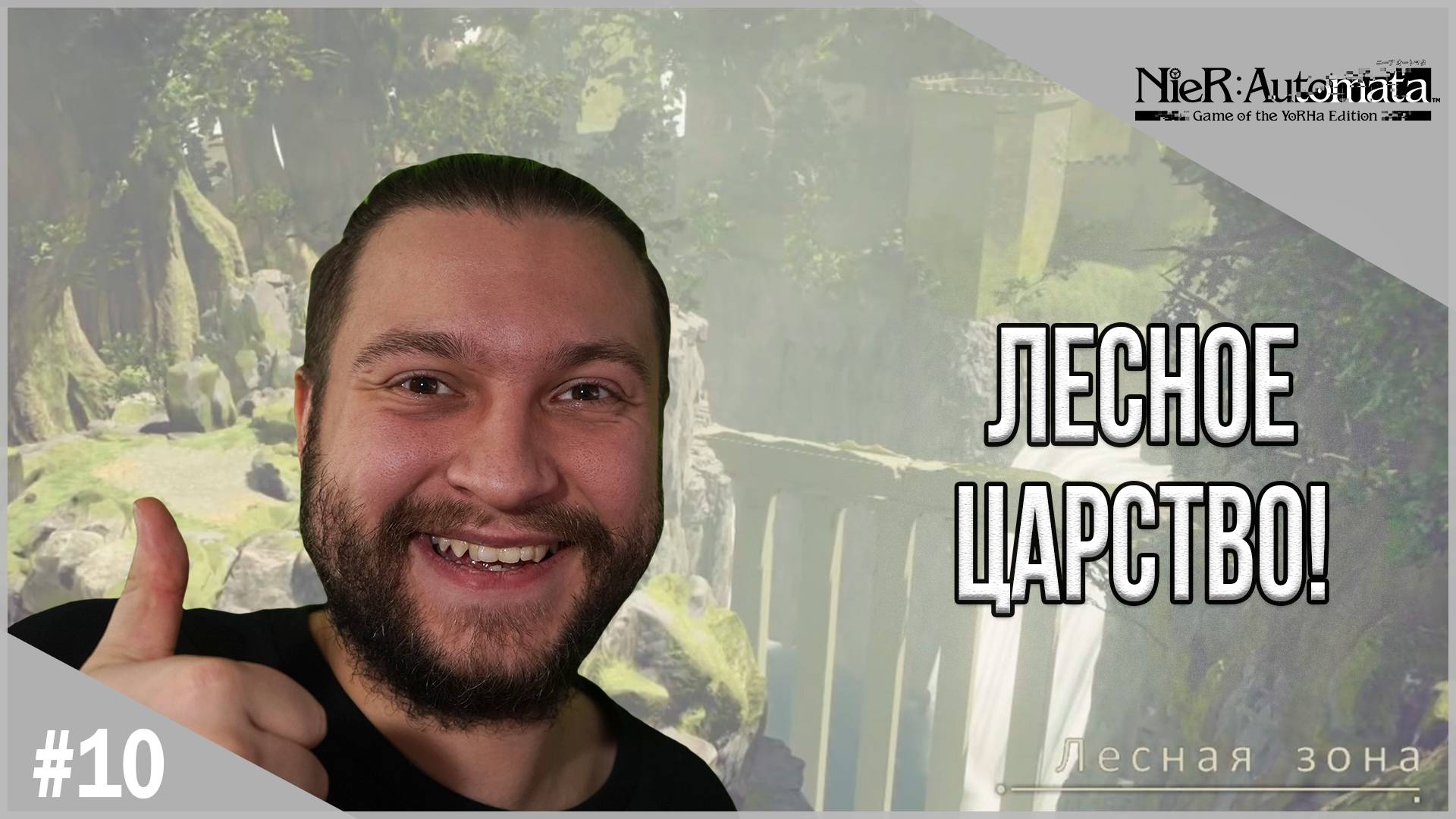 NieR Automata - #10 - Поход в лес!