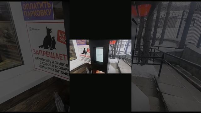 Билетная система для зоопарка
