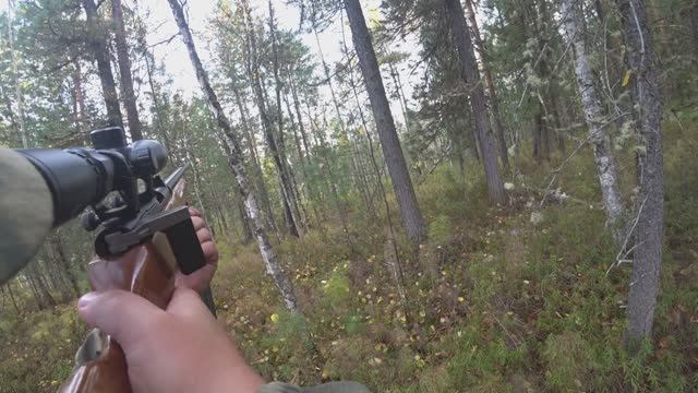Охота и рыбалка в ХМАО - ЯНАО | Тетерева перегородили дорогу, не заметил подбитого рябчика