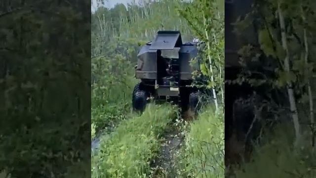 Тайпан на болоте, постановка трассы, кубок Сибири.