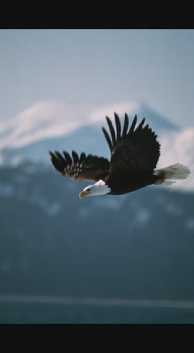 "Славянский Гороскоп" Надежды Додоновой