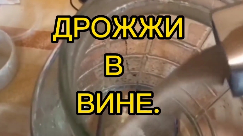 ДРОЖЖИ И ВИНО.