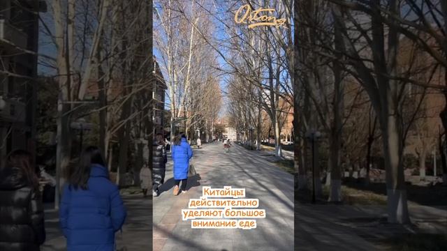 Как я учусь в китайском университете?