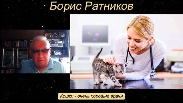 Борис Ратников - Кошки - очень хорошие врачи.
