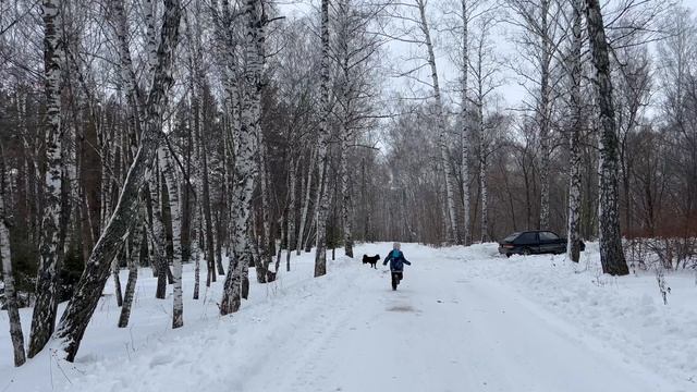 2025-01-11 Наш Сад - Веселая дорожка домой - 4 K
