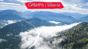Величие Юга Кузбасса / Кузнецкий Алатау / Осенняя ТАЙГА 🍃