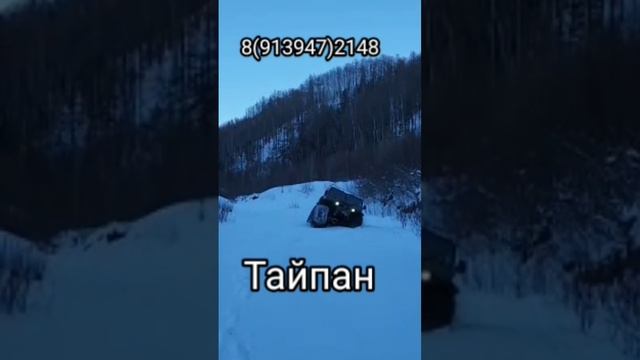Вездеход Тайпан