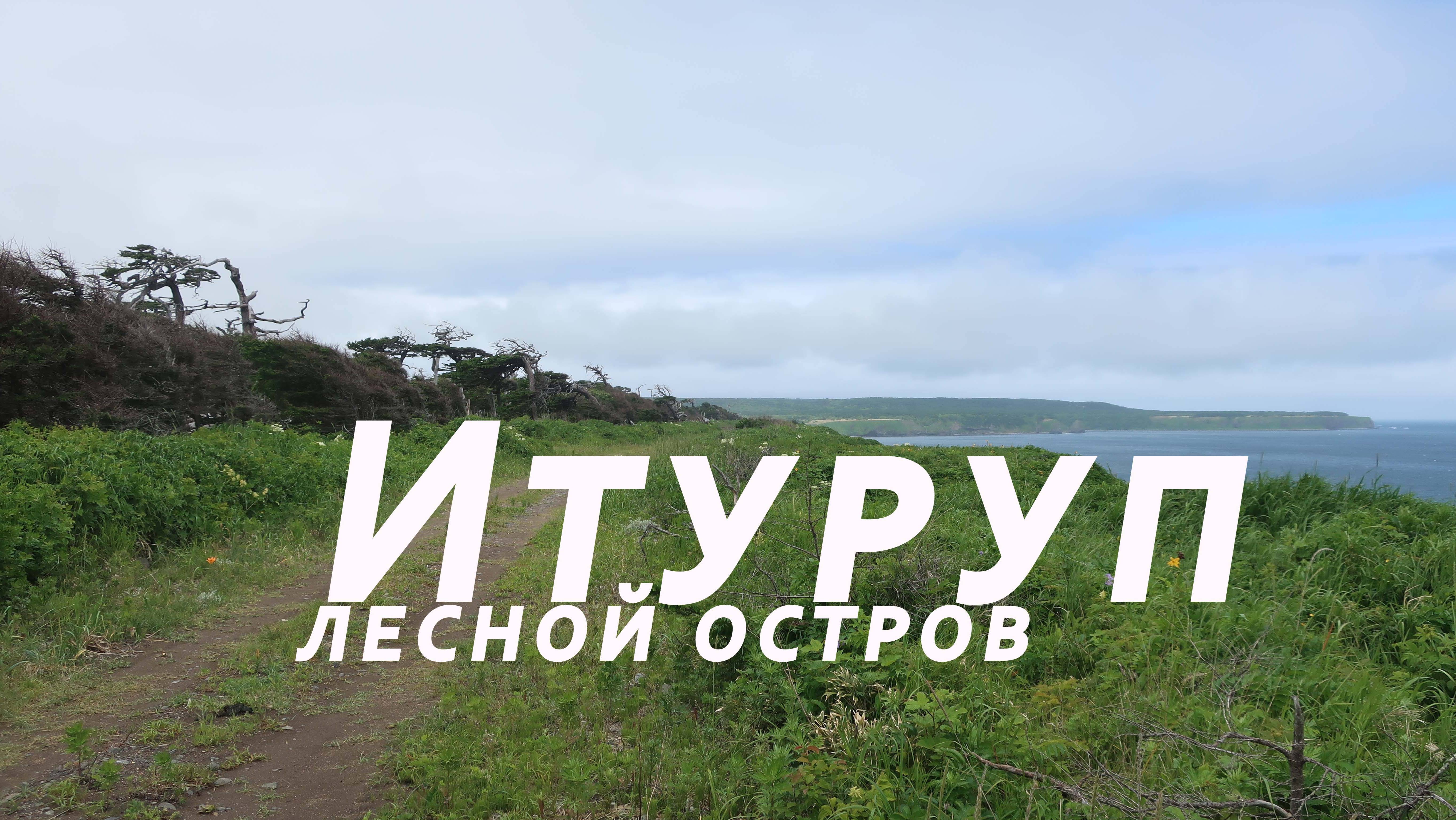 Итуруп - лесной остров