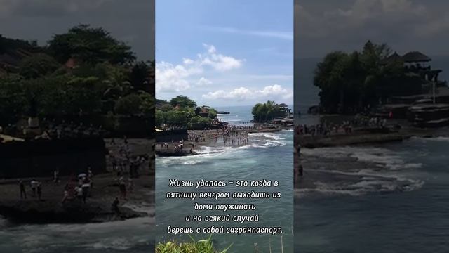 Жизнь удалась