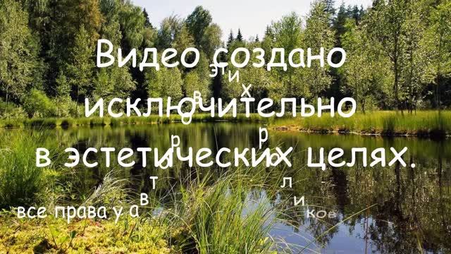 Красота поклевок.