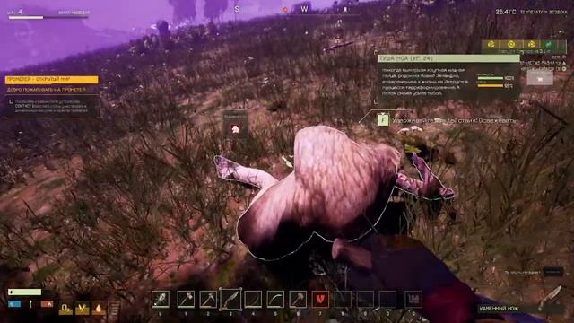 стрим по icarus топовое выживание