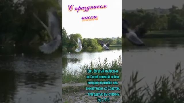 христиане(3)