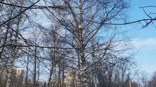 Белка