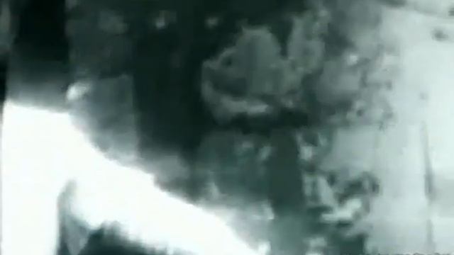 Жизнь   шаги