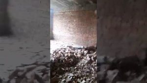 Заброшенная больница Верхяя Салда
