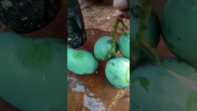 Raw Mango Salt and chili powder #village_food #shorts