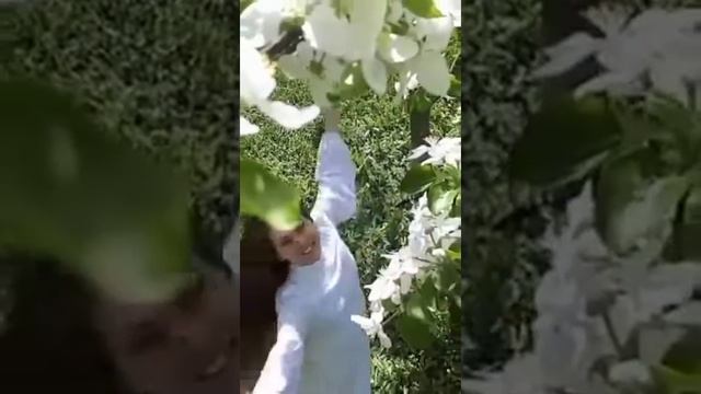 Бог благ.(2)